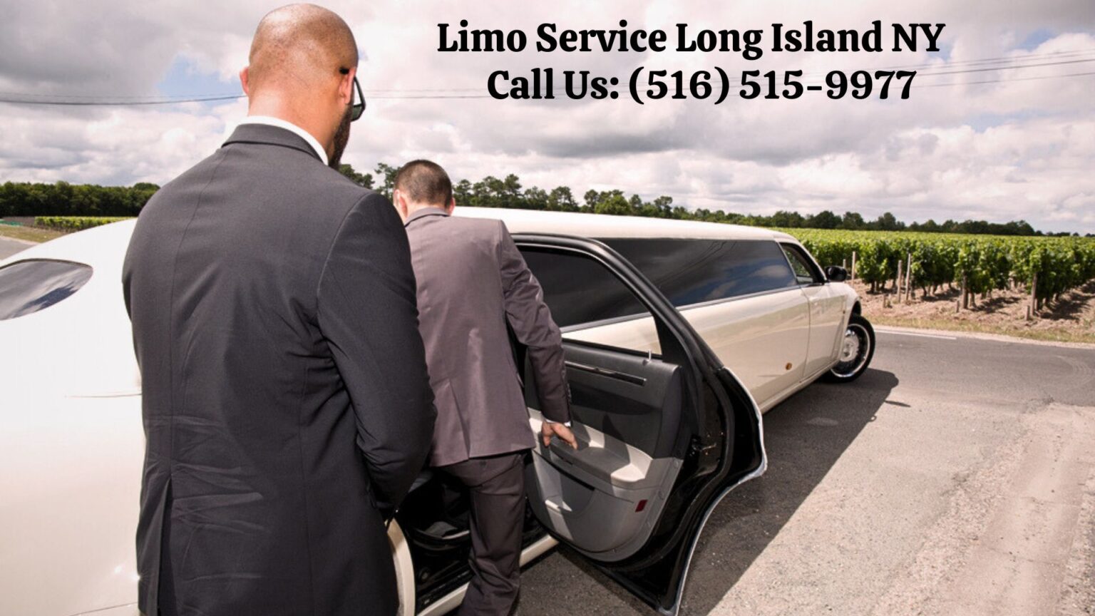 Best Long Island Holiday Lights Limo Tour New York